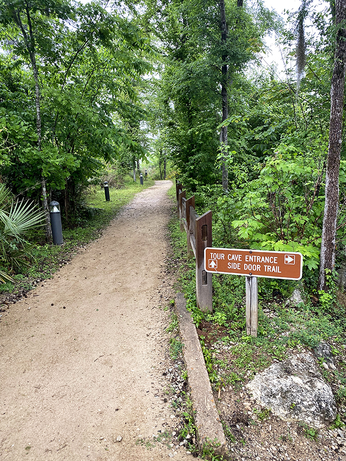 The path less traveled leads to Florida's most surprising attraction. Follow this trail to discover what lies beneath the state's seemingly flat surface.