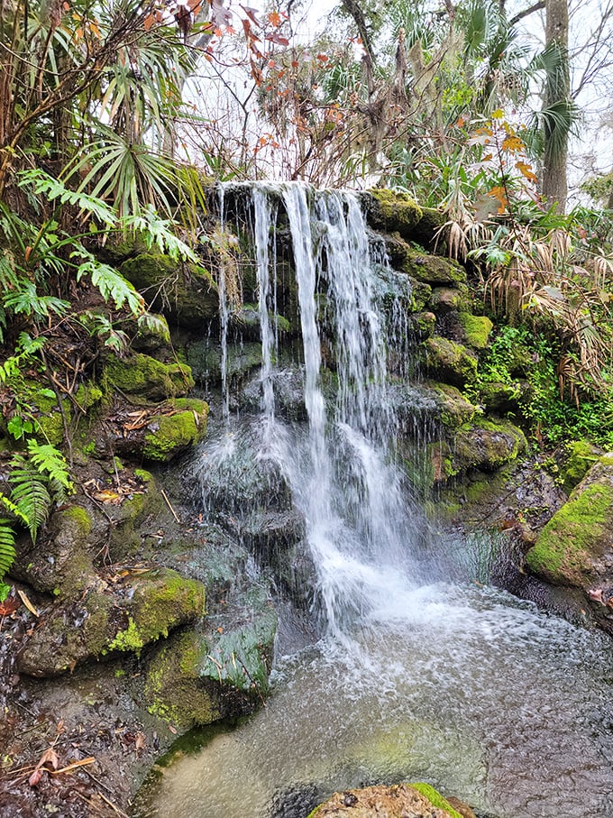 Who needs expensive spa treatments when Rainbow Springs offers these natural waterfalls? Nature's stress relief system working overtime.