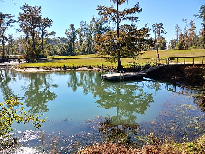 Mother Nature's own underground masterpiece at Florida Caverns State Park offers a cool 65-degree respite from Florida's famous sunshine.