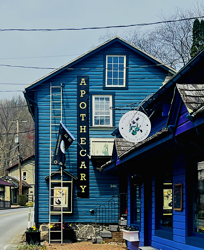 This brilliant blue apothecary doesn't sell snake oil, but it might just cure your big-city stress with a healthy dose of small-town charm.