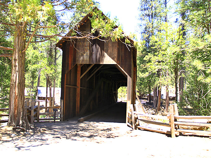 Nature's own picture frame – the bridge entrance beckons like a doorway to adventure.