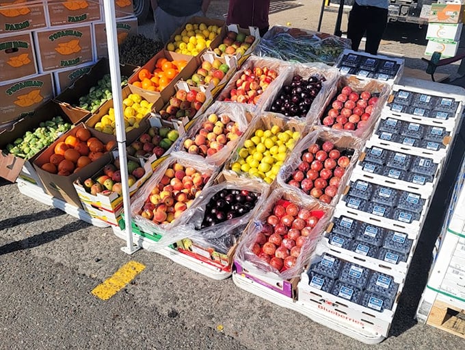 Nature's candy store display puts supermarkets to shame. These fruits didn't spend their formative weeks in cold storage—they ripened under the Florida sun as intended.