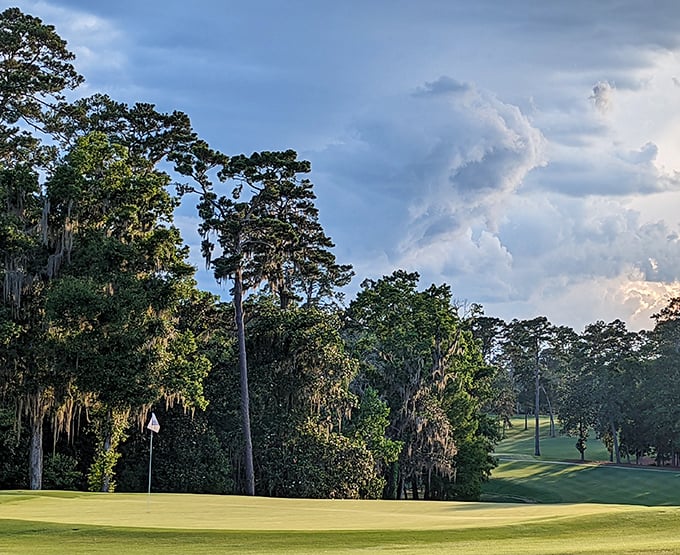  Peaceful greens stretch across the golf course in Thomasville, framed by towering pines and glowing skies for a relaxing escape.