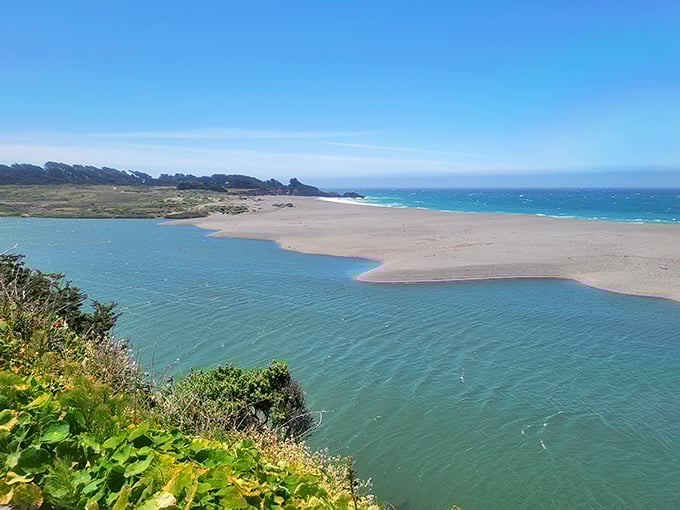 Where river meets ocean – the Gualala River estuary creates a constantly changing landscape that's worth the drive alone.