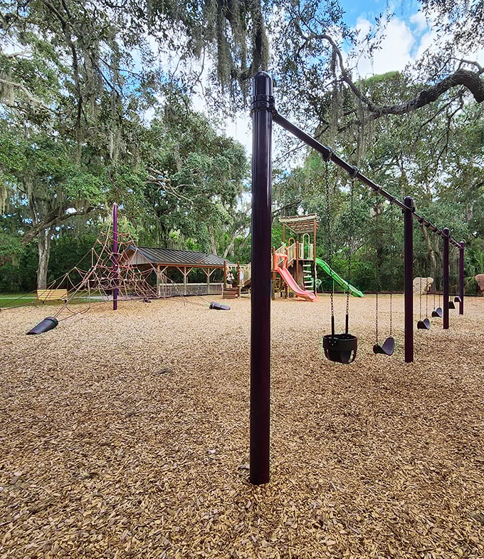 Who needs expensive therapy when Hammock Park offers nature's playground? Modern equipment nestled among ancient oaks creates the perfect family escape.