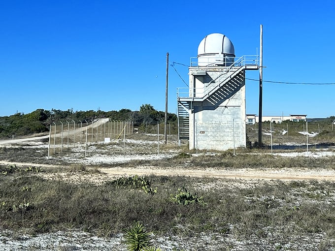Science meets scenery at this observation tower, where researchers monitor the coastal ecosystem while visitors pretend they're in a James Bond movie. 