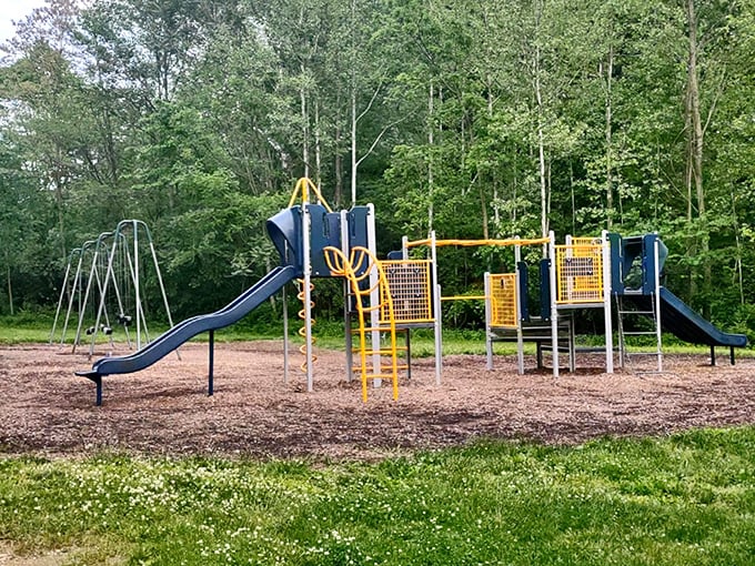 Childhood joy doesn't expire with your 401(k)—Piqua's parks offer playgrounds where grandkids burn energy while you save yours.