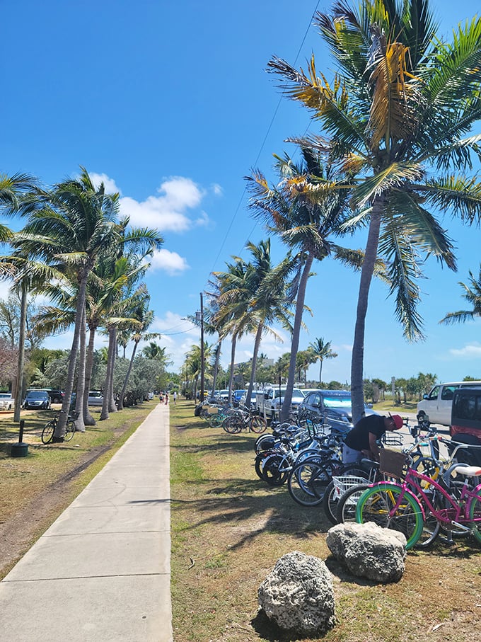 Palm-lined pathways and colorful bikes – Key West's preferred transportation method for those who want to earn their key lime pie.
