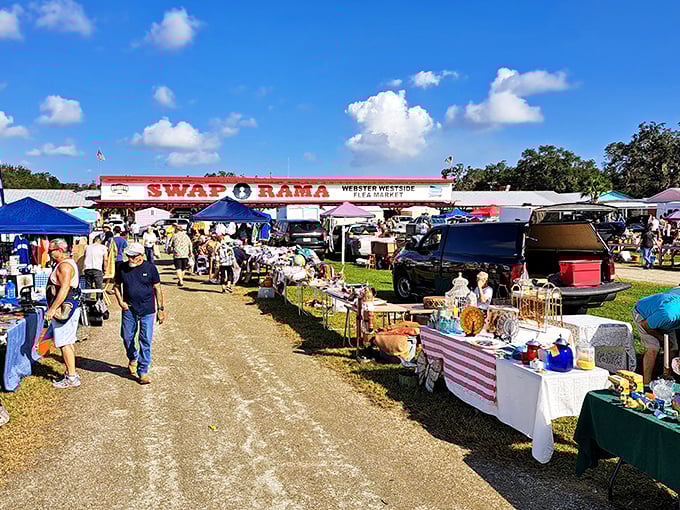 Main Street, Swap-O-Rama style. Vendors and visitors create the bustling energy of commerce that's been happening since humans first figured out trading was fun.