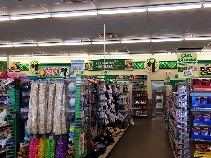 Aisles stretch like pathways to different dimensions of discount, each one meticulously organized for maximum treasure-hunting efficiency.