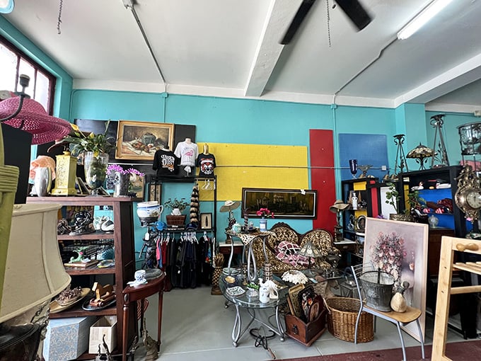 Turquoise walls and rainbow displays create the perfect backdrop for treasure hunting. This isn't organization—it's a beautiful chaos that somehow makes perfect sense.