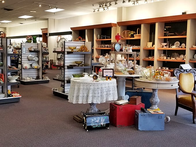 Not your grandmother's cluttered thrift store – New Life's organized displays make hunting for hidden gems feel like a curated museum experience.