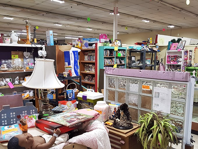 Inside awaits organized chaos—a collector's paradise where that perfect lamp, book, or glass divider might just be hiding in plain sight.