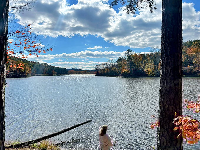 Fall colors frame the glassy lake surface, where one visitor finds solitude – proof that sometimes the best social network has no Wi-Fi signal.