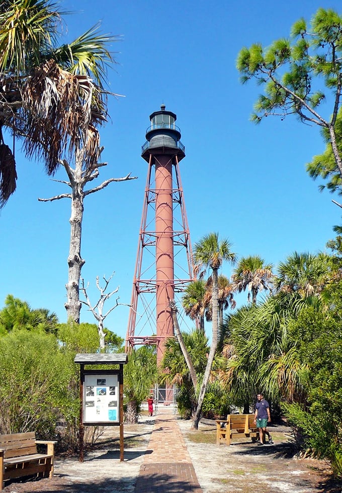 Reaching skyward like a rustic rocket ship, the lighthouse towers above the island's natural canopy—Florida's answer to the Eiffel Tower, just saltier.