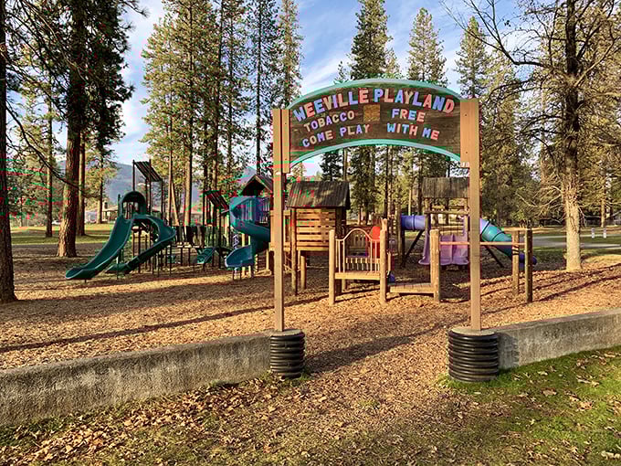 Weaverville Playland offers tobacco-free fun for kids—a refreshing reminder that some of life's best entertainment still doesn't require a charging cable.