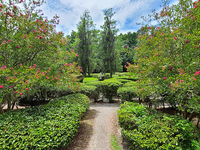 A garden maze that would make Alice wonder which way to Wonderland, framed by vibrant azaleas and towering cypress.