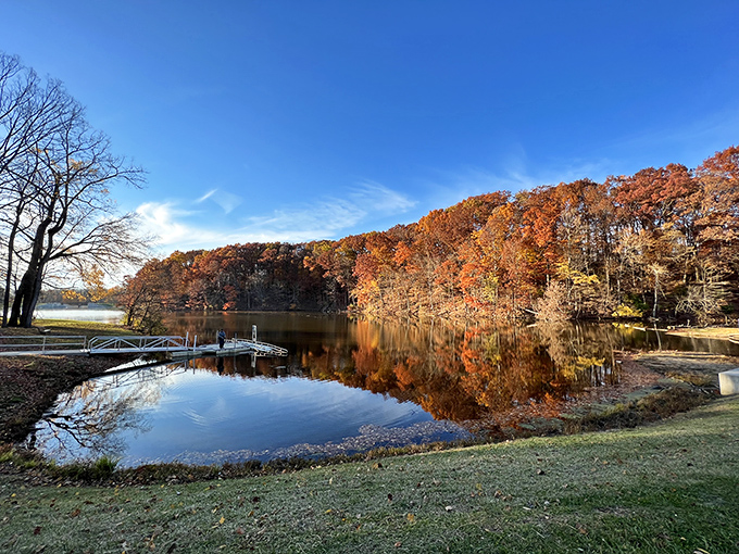 The Mount Gilead Public Library stands ready to fuel your mind without emptying your wallet.