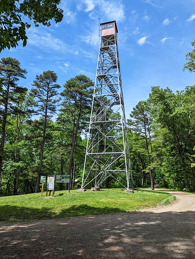 Reaching for the clouds! This fire tower dares you to climb its 105 steps for views that will make your Instagram followers simultaneously jealous and inspired.