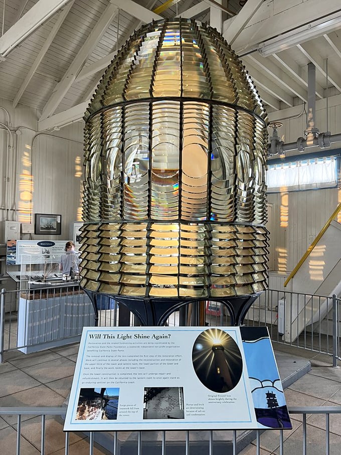 The original Fresnel lens – a dazzling beehive of glass and engineering genius that once projected light 24 miles out to sea.