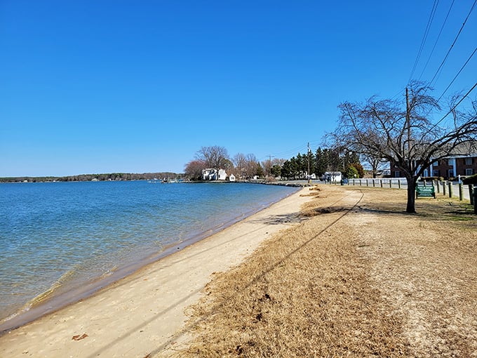 Oxford's beach offers a slice of Chesapeake serenity without the Ocean City crowds—no blaring radios or umbrella territorial disputes in sight.