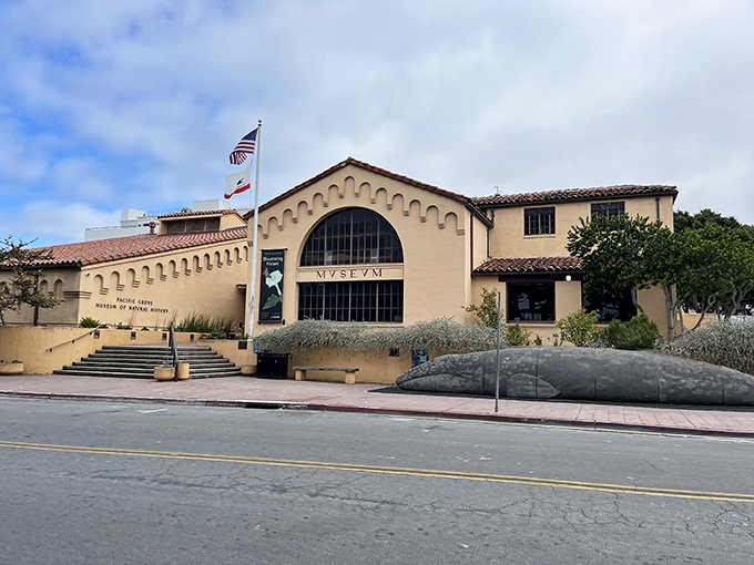 The Pacific Grove Museum of Natural History—where science meets charm and the stuffed birds somehow look less judgmental than elsewhere.