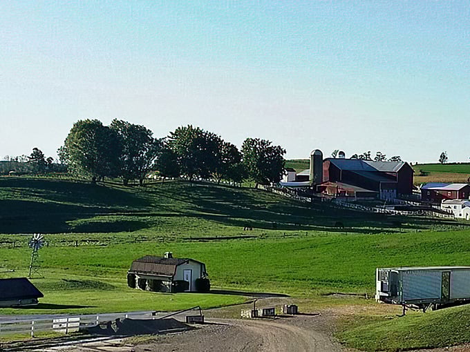 Americana in its purest form—red barns, rolling fields, and open sky. Like Norman Rockwell painted Ohio and forgot to sign his name.