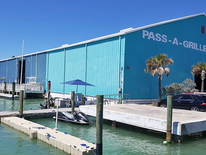 The turquoise marina building isn't just eye-catching—it's a portal to aquatic adventures waiting just beyond those wooden docks.