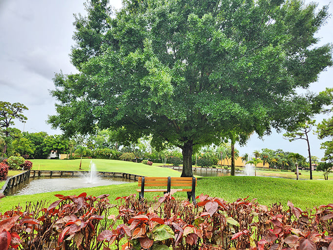 Where fountains dance and shade trees stand sentinel. This isn't landscaping—it's Mother Nature showing off for the AARP crowd.