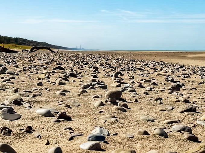 Nature's marble collection scattered across the shore—each stone tells a story of Lake Michigan's patient craftsmanship.