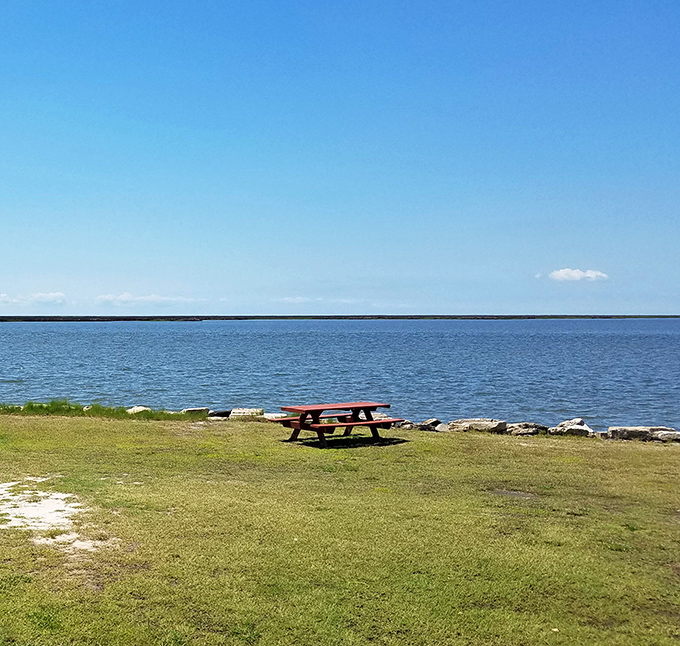 Sometimes the best luxury is simplicity—a lone picnic table by the Chesapeake Bay offers dining ambiance that five-star restaurants spend fortunes trying to replicate.