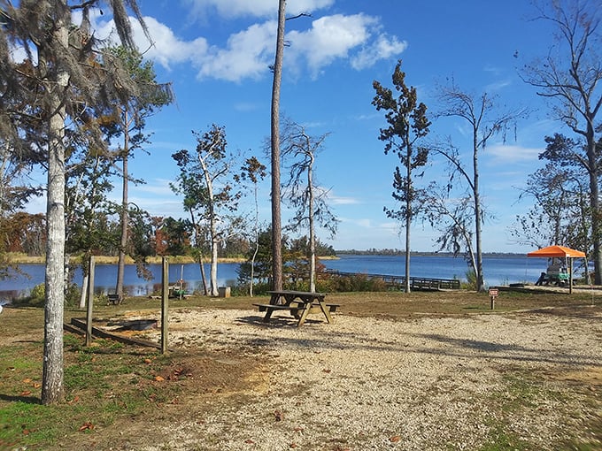 Picnic paradise where trees provide better shade than any beach umbrella ever could. Mother Nature's dining room awaits.