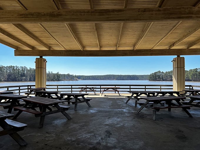 The pavilion's lake view makes even store-bought potato salad taste like a gourmet experience.