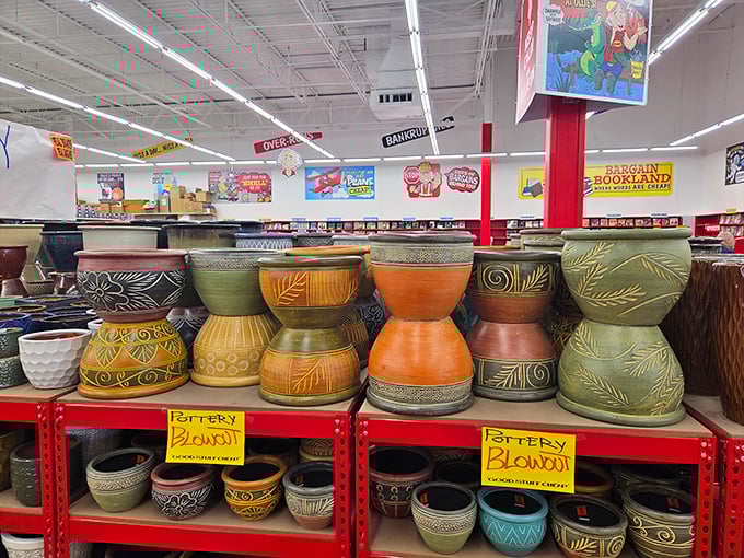 Pottery paradise at clearance prices. These aren't your grandmother's planters—unless your grandmother had exceptional taste and a knack for finding bargains.