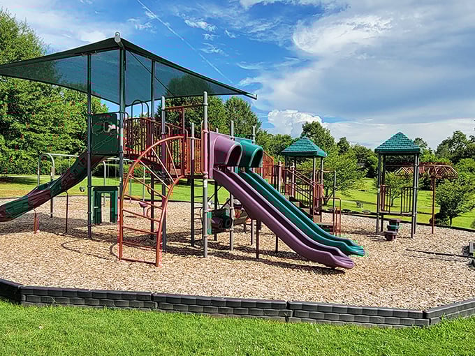 This playground at Rees Park proves small towns know how to keep the kiddos entertained. Slides, swings, and childhood memories in the making!