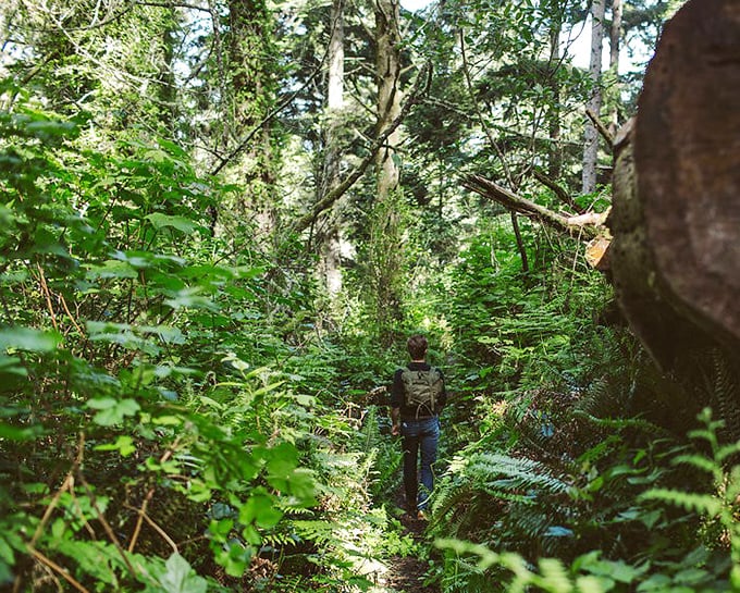 Hiking through Russ Park feels like stepping into a fairy tale—105 acres of towering redwoods and fern-covered trails just steps from Victorian civilization.