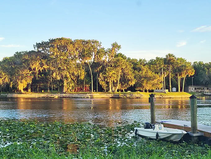 Golden hour transforms the shoreline into something from a fantasy novel—minus the dragons, but possibly with alligators.