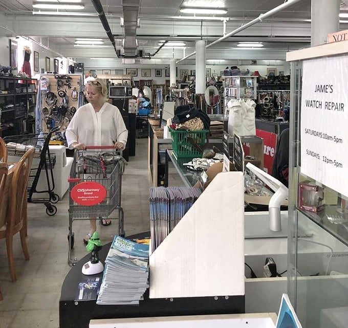 The thrill of the hunt in action! This shopper navigates the well-organized aisles with the focused determination of a Food Network contestant during a timed challenge.
