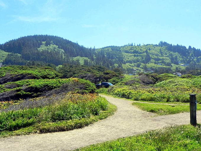 Nature's walking paths invite exploration through coastal meadows, where wildflowers and grasses dance to the rhythm of ocean breezes.
