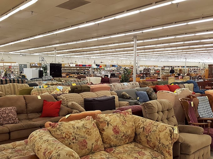 The sofa showroom rivals furniture stores without the commission-hungry salespeople. Each piece silently whispers, "Take me home, I promise to be the most comfortable spot in your house."