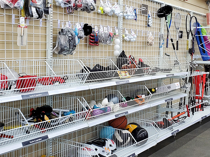 Sporting goods galore! Basketballs, tennis rackets, and forgotten exercise equipment—all waiting for their comeback story to begin.