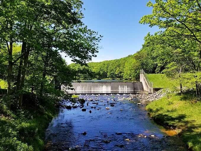 This isn't just a dam—it's nature's perfect balance of engineering and artistry, where rushing water meets peaceful forest. 