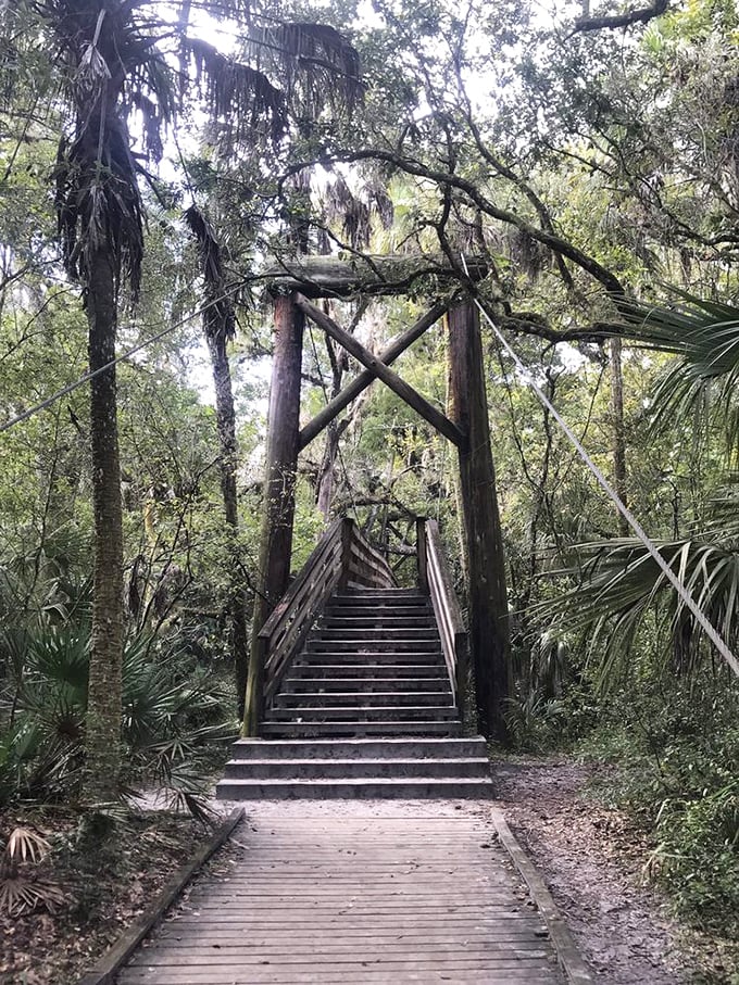 These wooden stairs don't just lead upward—they're a stairway to Florida heaven, complete with Spanish moss curtains and palm tree pillars.