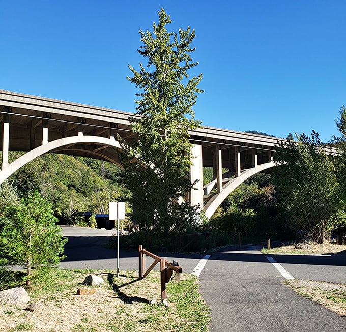 This elegant bridge spans more than just the Sacramento River—it connects modern California to a pace of life we all secretly miss.