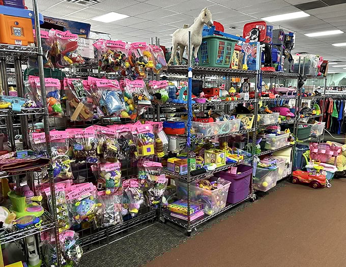 The toy section rivals Santa's workshop, with neatly organized bins that make finding that perfect plaything easier than locating the TV remote in your own living room.