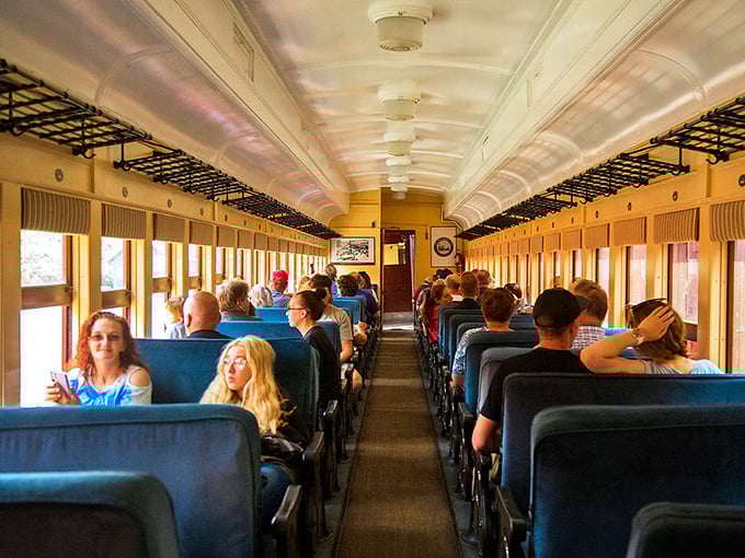 Time travel doesn't require a DeLorean—just a ticket on these vintage coaches where comfortable blue seats and large windows transform ordinary Tuesday afternoons into extraordinary adventures.