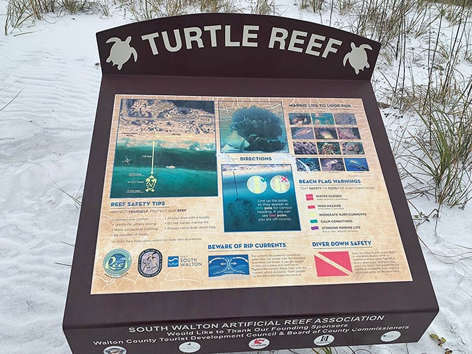 Underwater adventure awaits: The Turtle Reef information board—where marine biology meets treasure map, proving education is more fun when there's a chance to spot a sea turtle.
