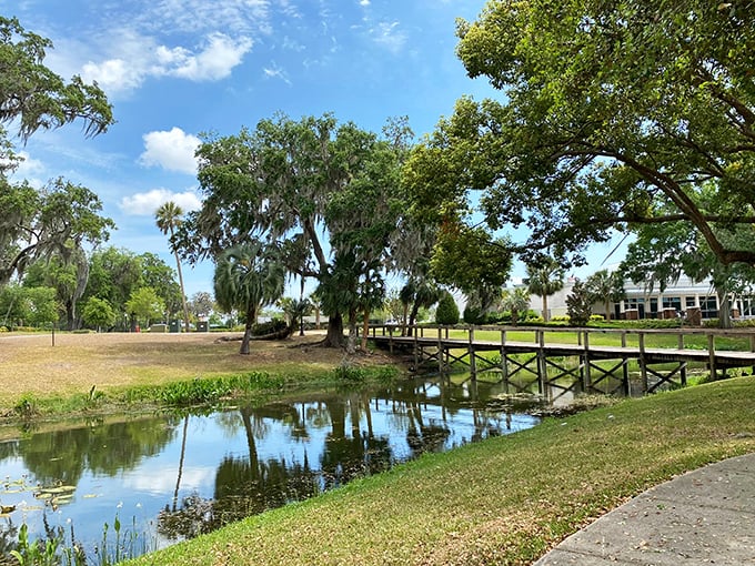 Venetian Gardens delivers that quintessential Florida serenity—Spanish moss draped trees reflecting in still waters while wooden bridges beckon explorers forward.