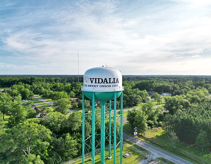 "The Sweet Onion City" proudly announces itself from this towering landmark, standing like a culinary lighthouse above the verdant Georgia landscape.