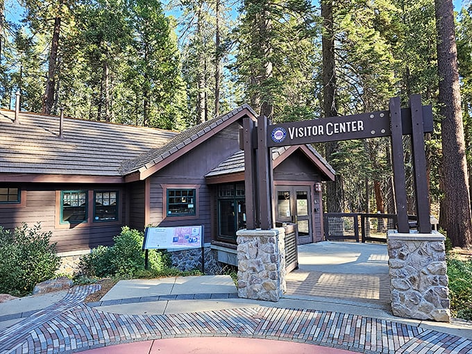 This visitor center isn't just informative—it's the perfect blend of form and function, nestled among the very trees it celebrates. Architecture that knows its audience!